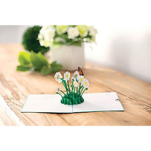 Lovepop Daisy Patch Pop Up Card - 3D Card, Greeting Card, Flower Card, Anniversary Card, Mother's Day Card, Birthday Card, Appreciation Card (Retiring Design)