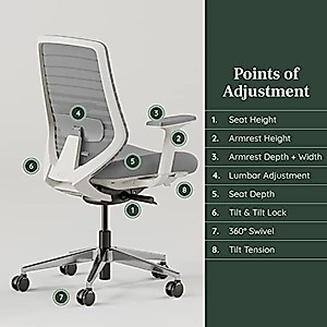 Branch Ergonomic Chair - A Versatile Desk Chair with Adjustable Lumbar Support, Breathable Mesh Backrest, and Smooth Wheels - Experience Optimal Comfort and Support - Pebble - White