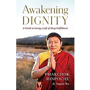 Awakening Dignity: A Guide to Living a Life of Deep Fulfillment