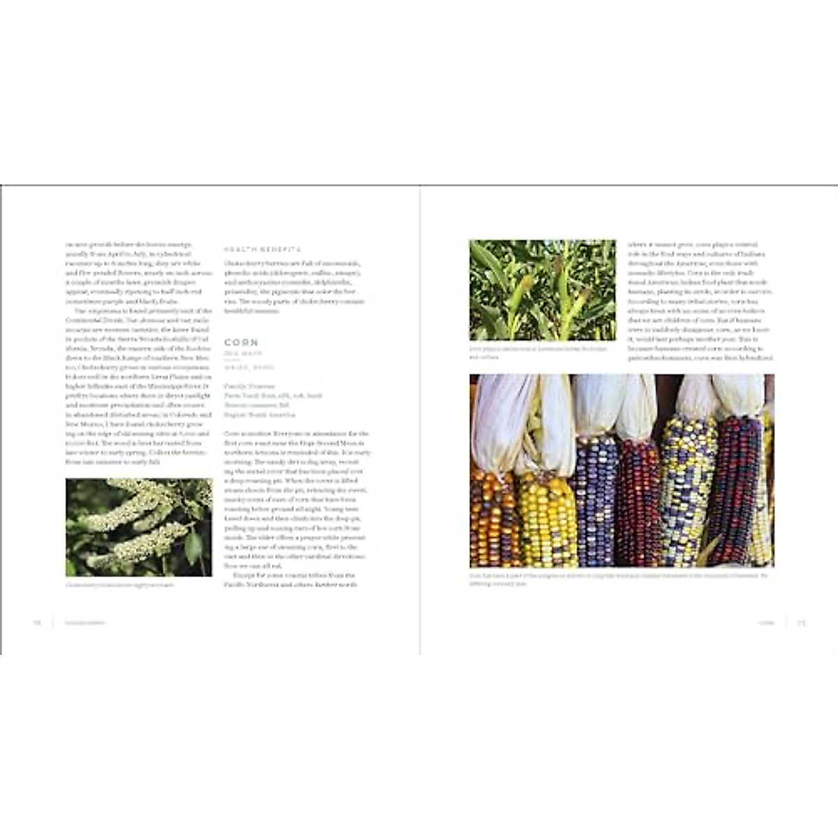 Iwigara: American Indian Ethnobotanical Traditions and Science