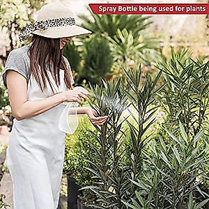 SPRAYZ Large 500ml Spray Bottles For Cleaning Solutions and Gardening, Plant, Water, Durable Trigger Sprayer, Refillable, Spray Bottle for Hair, All Directions, Clear Plastic Bottle 2x 500ml