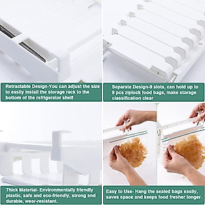 SZHTSWU Refrigerator Ziplock Bag Storage Rail Rack, Hanging Storage Clip Sliding Rail Tray Retractable Fridge Drawer Storage Organizer with 20 Sealed Bags for Fruits Vegetable Food Fresh-Keeping