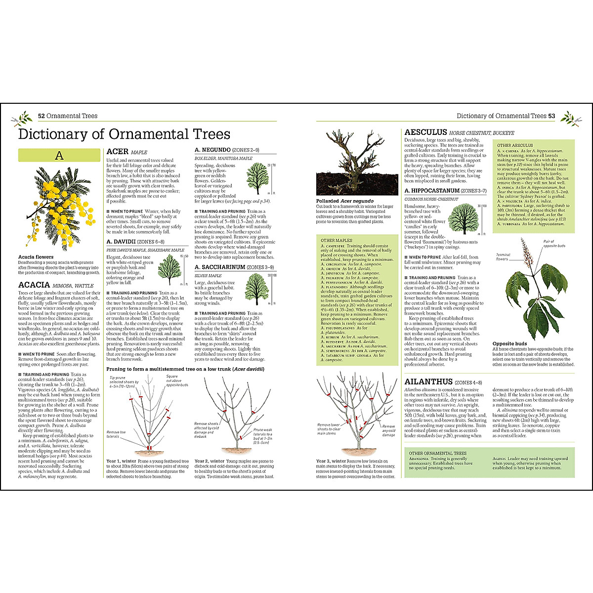 Pruning and Training, Revised New Edition: What, When, and How to Prune