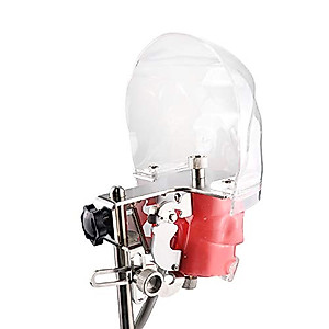 Teaching Head Model Plastic Educational Teeth Model Manikin Phantom Head Models Fix on Table