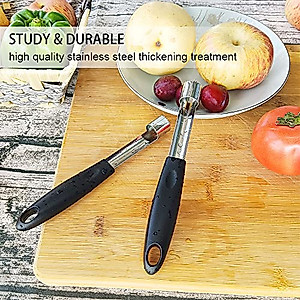 2PCS Apple Cupcake Corer, Fruit Vegetable Core Remover, Profession Healthy Stainless Steel Apple Remover Household Kitchen Tool for Fuji, Pears, Bell Peppers - Black