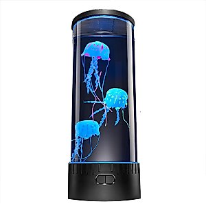 Jellyfish Aquarium