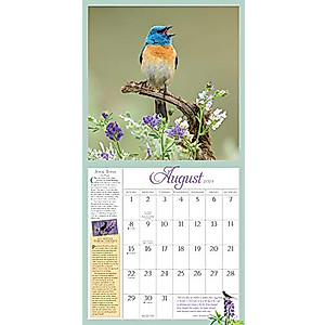 Audubon Birds in the Garden Wall Calendar 2021