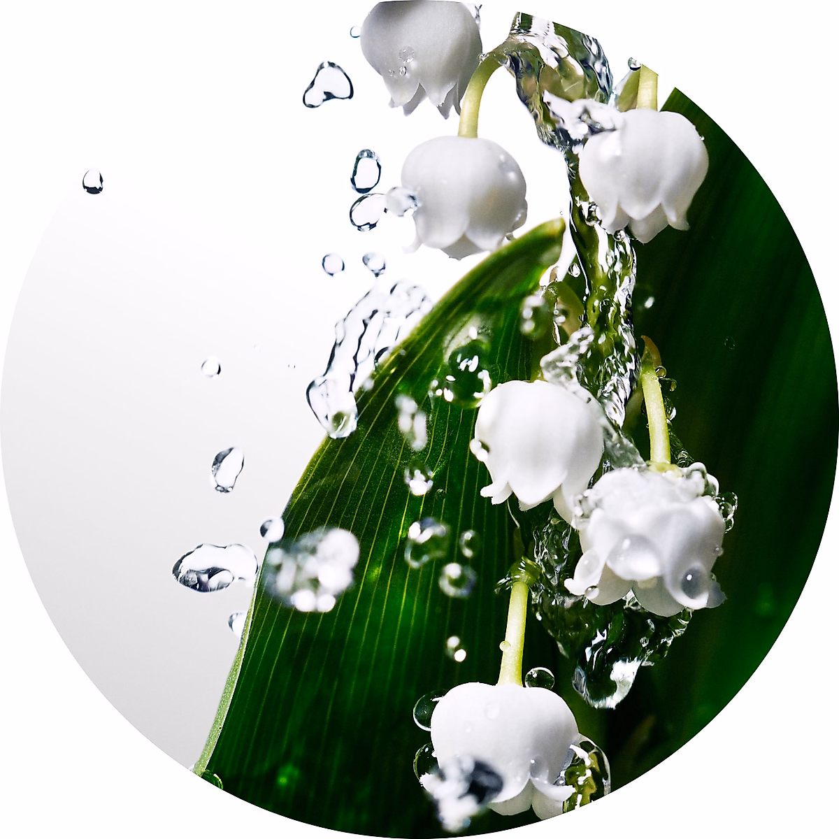 Davidoff Cool Water Woman Eau de Toilette 6.7 fl oz