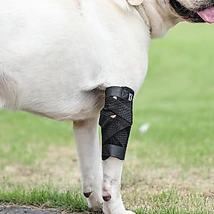 (S/M) Dog Leg Brace for Fornt and Back Leg, Canine Hock Brace for Rear Legs with Dual Metal Strips,Joint Warps Strong Support Help for Hind Leg Injuries Sprains Arthritis Torn ACL(1Pair)