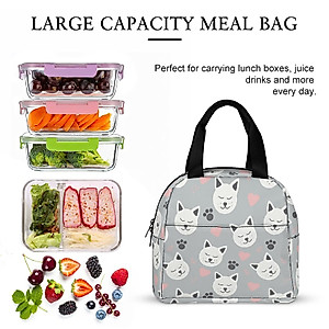 Cat Lunch Bag for Women Men, Insulated Meal Bag, Lunch Tote Bag for Work Outdoor