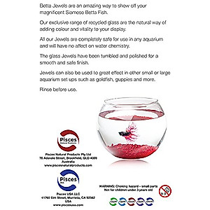 Pisces Ruby Red Betta Jewels for Siamese Fighting Fish, Betta Fish, Goldfish, Guppies, 17.6 Ounce