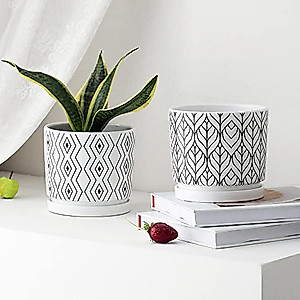 Ton Sin Plant Pots,5.5 Inch White Pots for Indoor Plants with Drainage Holes,Cylinder Flower Pot Ceramic Planters with Saucer,Cactus Succulent Outdoor Garden Pots Set of 4