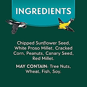 Morning Song Clean & Free Shell Free Wild Bird Food, Premium No Mess Bird Seed for Outside Feeders, 10-Pound Bag