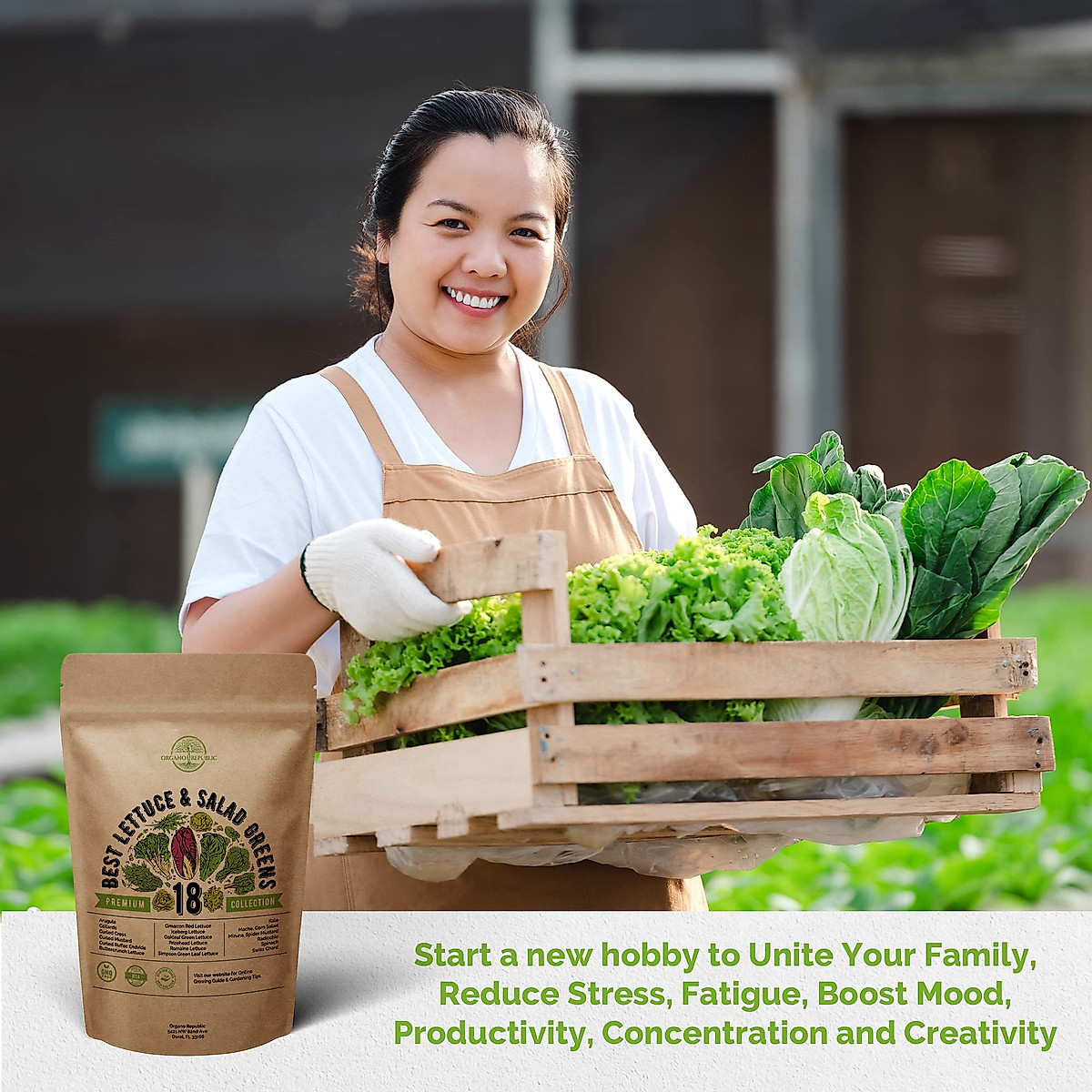 Organo Republic 18 Lettuce & Salad Greens Seeds Variety Pack 9200+ Non-GMO Heirloom Lettuce Seeds for Indoors & Outdoors Garden, Hydroponics, Aerogarden - Arugula, Kale, Spinach, Swiss Chard, Lettuce