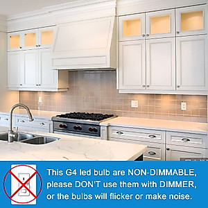 G4 LED Bulb 3W Equivalent to 20W-25W T3 JC Type Bi-Pin G4 Base Halogen Bulb, AC/DC 12V Warm White 3000K G4 Light Bulbs for Puck Light, RV, Under Cabinet Lighting, Landscape Lighting (10 Pack)