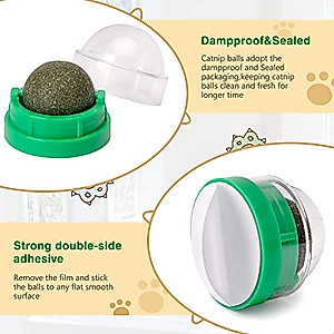OHALEEP Catnip Ball for Cats Wall, 3 Pack Catnip Toys, Edible Kitty Toys for Cats Lick, Safe Healthy Kitten Chew Toys, Teeth Cleaning Dental Cat Toys, Cat Wall Treats (Grey) (Green)