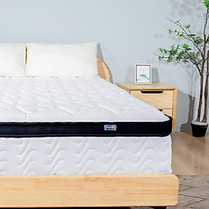 MOLBIUS Queen Mattress 10 Inch | Queen Size Hybrid Mattresses in a Box | Medium Firm Feel Memory Foam and Individual Pocket Springs | Fiberglass Free Bed Matress | Breathable | CertiPUR-US | Upgrade
