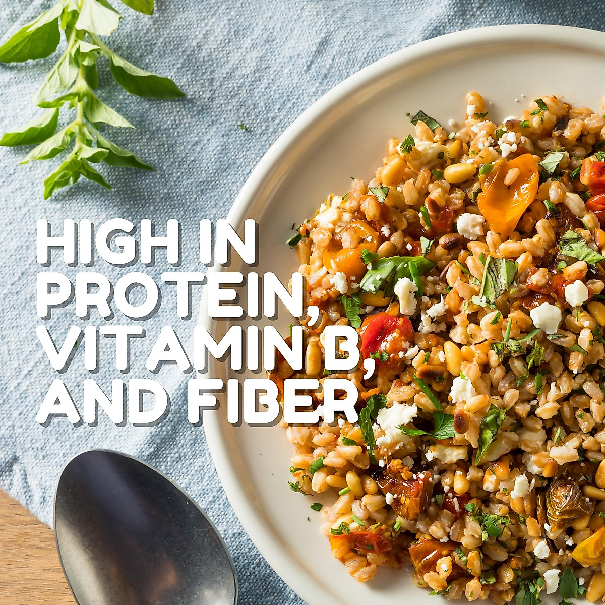 Cucina & Amore Pearled Farro from Italy 17.6 oz (Pack of 8) | Non-GMO, Whole Grain, High in Fiber, Vegan, Kosher| Perfect for Soups, Salads, and More | Vacuum Packed