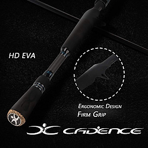 Essence lp Reel and CR7B Rod