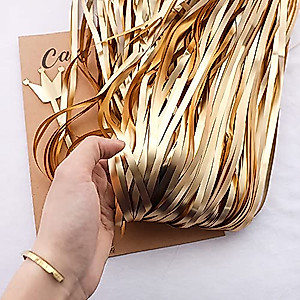 LILF 2 Pack of 3.3ft x 8.3ft Matte Metallic Foil Fringe Curtain for Birthday Party Wedding Bridal Baby Shower Photo Booth Backdrop Christmas Home Decoration Props (Matte Gold)