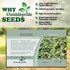 Outsidepride Perennial Herniaria Glabra Green Carpet Rupturewort Low Growing, Spreading, Ground Cover - 10000 Seeds