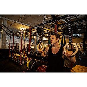 APEFIT Power Gymnastic Rings and Competition Straps | Quick Adjustment Carabiner | Anti-Theft Lock | Birch Rings | for Calisthenics, Gym & Bodyweight Training, PISP00120CARBRING