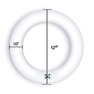 Bulbmaster FC12T9/CW 32 Watts 12 Inch Round T9 Fluorescent Circular Light Bulb, Cool White 4100K, FC12T9 1930 Lumens G10Q 4-Pin Base 32W Circline Ceiling Lights