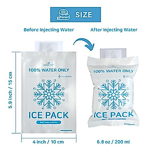 Insulated Lunch Bag with Zip Lock & Handle, Reusable Cool & Thermal Bags, Cooler Pouch, Hot & Cold, Ideal for Sandwich, Snack, Drink, Grocery, Camping (Medium_5 bags 9.8 x 11.0 inches + 5 Ice packs)