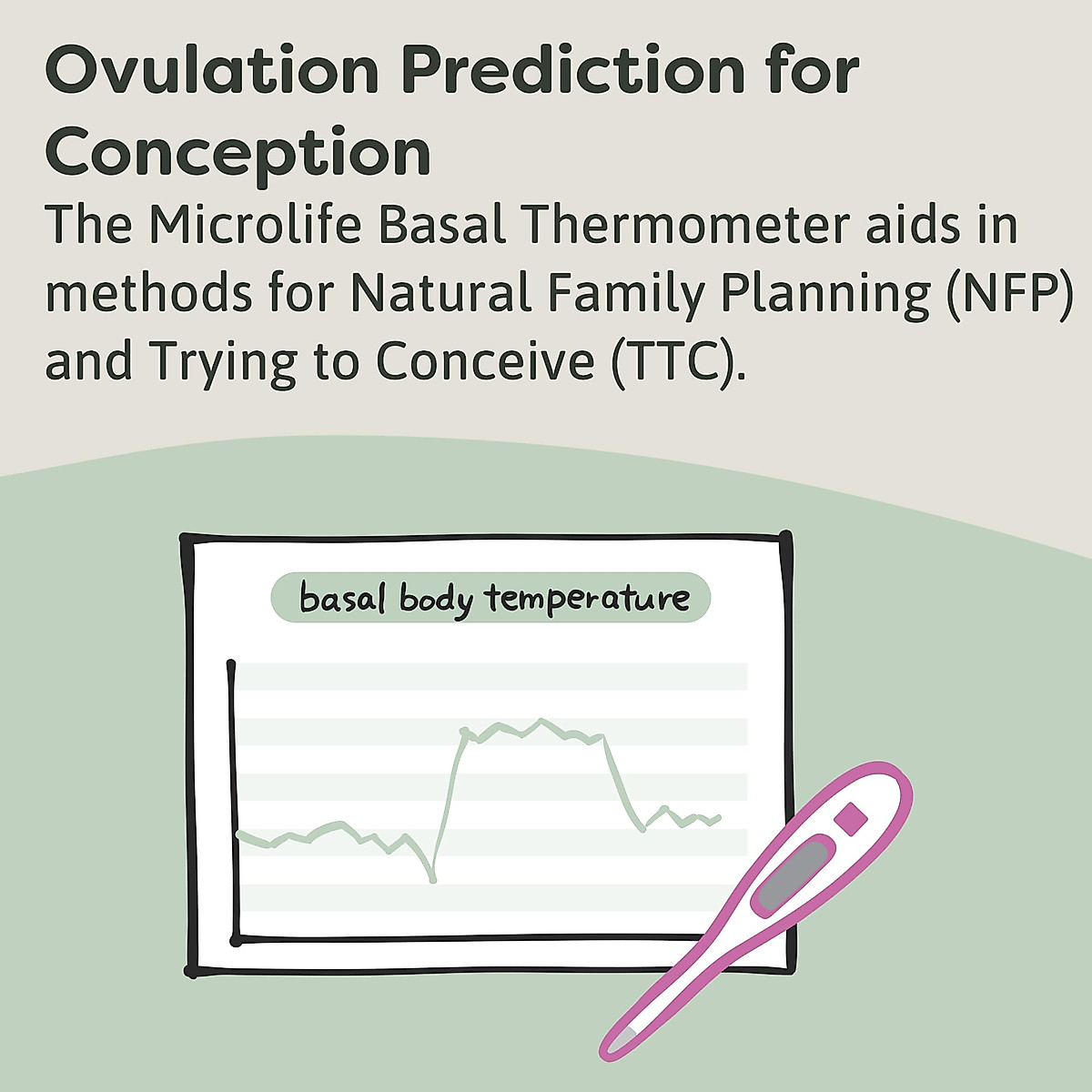 Microlife Digital Basal Thermometer 1/100th Accurate, for Fertility Prediction and Ovulation Tracking, NFP/TTC, (60-Second Reading), Oral or Vaginal BBT, Saves Last Memory
