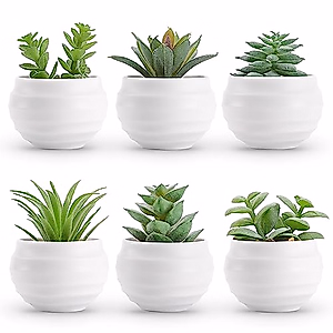 Der Rose Set of 6 Succulents Plants Artificial in Pots Small Fake Plants for Bedroom Aesthetic Living Room Office Shelf Bathroom Decor