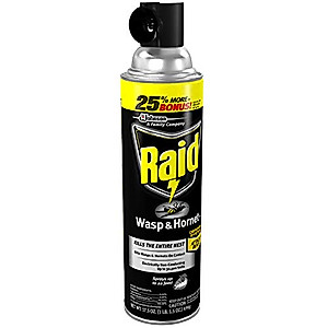 Raid Wasp and Hornet Spray- 17.5 ounces - 3 Pack