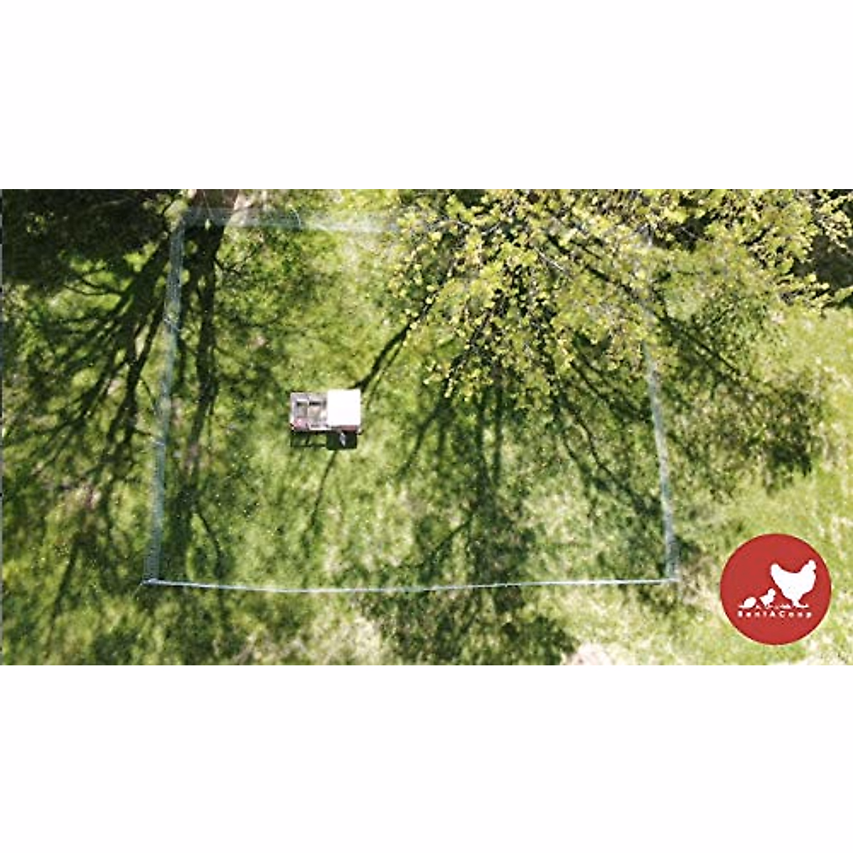 RentACoop Poultry Netting Electric Fence - Electric Poultry Enclosure for Chickens, Ducks, Turkeys - Suitable for 4 Week Old Chickens/Older and Adult Poultry - Energizer Not Included - 168' L x 48" H