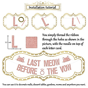Last Meow Before the Vow Banner, Cat Themed Bachelorette Party Decorations, Bridal Shower Engagement Party Decorations, Hen Wedding Party Supplies Rose Gold