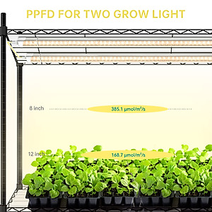 Bstrip DIY Plant Shelf with Grow Light, Grow Light Shelf with Adjustable Rack and Wheels, Plant Stand, 8-Pack 192W T8 3000K Full Spectrum Grow Lights for Seed Starting,Seed Tray(29.5L x 13.8W x70.9H)