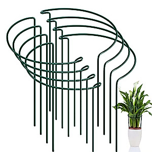FEED GARDEN 8 Pack Plant Support Stakes, Metal Garden Plant Stake(10" Wide x 16" High) Green Half Round Plant Support Rings for Potted Plants, Plant Cage for Tomato, Hydrangea