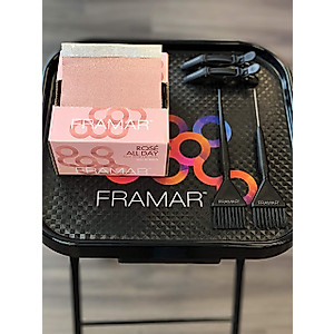Framar Rosé All Day Pop Up Hair Foil, Aluminum Foil Sheets, Hair Foils For Highlighting - 500 Foil Sheets