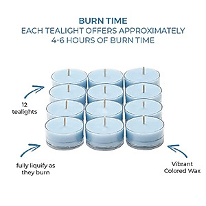 PartyLite Tealight Candles, Fragranced Colored Wax with Clear Container, 12 Pack Tea Lights, Made in The USA (Morning Meadow)