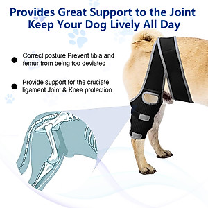 Dog Knee Brace with Side Stabilizers for Dog ACL, Adjustable Canine Shoulder Hip Wraps for Arthritis & Torn CCL, Wound Care & Loss of Stability from Arthritis, Injury & Sprain Protector (XL, Grey)