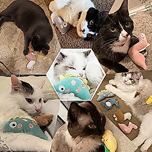Ctznxiy Catnip Toys,Cat Toys for Indoor Cats,8 Pcs Cat Gifts for Cat Lovers,as Friends or Pillows to Accompany The Cat to Spend a Happy Time