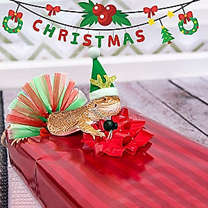 Vehomy 4Pcs Christmas Bearded Dragon Costume Christmas Bearded Dragon Santa Claus Hats Christmas Bearded Dragon Lizard Tutu Skirts Xmas Beardy Lizard Outfit for Chick Hamster Bird Parrot