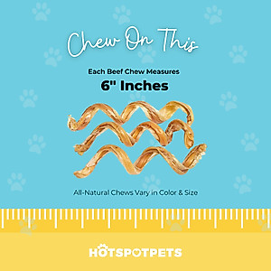 hotspot pets Spring Bully Sticks for Dogs - (12 Pack) Premium All Natural Long Twisted Beef Pizzle Dog Chew Treats - Grain Free Fully Digestible Rawhide Alternative - 6 Inch Stix