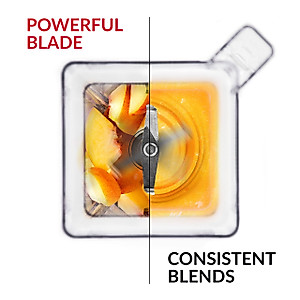 Blendtec Classic 575 Blender- WildSide+ Jar (90oz) and Four Side Jar (75oz) BUNDLE- 4 Pre-programmed Cycles-5-Speeds - Professional-Grade Power-Self-Cleaning - Poppy Red (C575A2319A-AMAZON)
