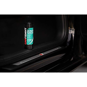 Carfidant Trim & Plastic Restorer - Restores Faded and Dull Plastic, Rubber, Vinyl Back to Black! Protectant and Sealant from UV & Dirt - Easy to Apply!…