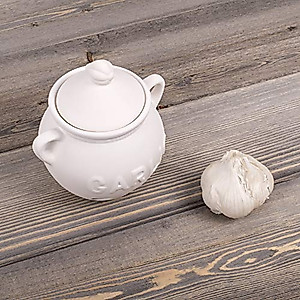 HIC Harold Import Co. Garlic Clove Keeper White Vented Ceramic Storage Container With Lid, 5.25" x 5.5"/16 oz