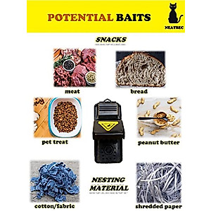 Reusable Mouse Trap with Gloves Indoor and Outdoor (Pack of 6,8 and 12) Safe Mouse Trap Easy to Clean and Setup Bait Reacting Quickly, Reusable and Durable Neatbec (Pack of 6)