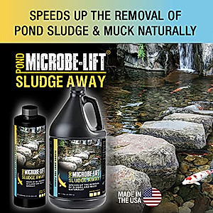 MICROBE-LIFT MLXSAG6 Sludge-Away Pond and Outdoor Water Garden Sludge and Muck Remover, Safe for Live Koi Fish, Plant Life, and Decor, 1 Gallon