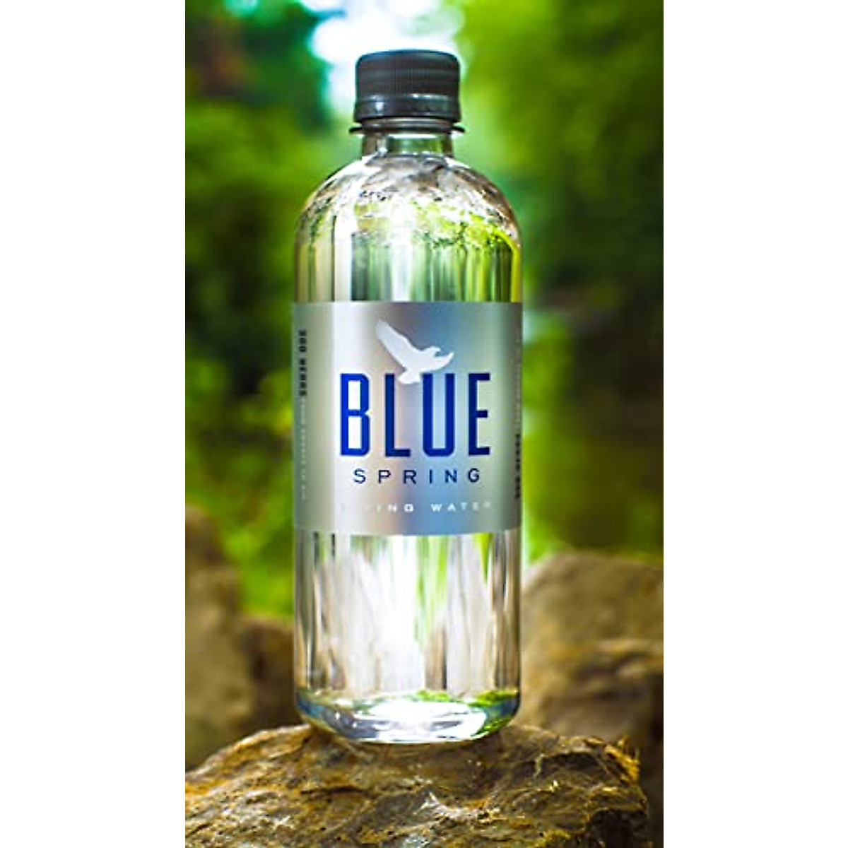 Blue Spring Living Water, Pure Premium Natural Spring Water, pH balance of 7.1-7.2, Bottled Spring Water, 16.9 Fl Oz, (Pack of 12)