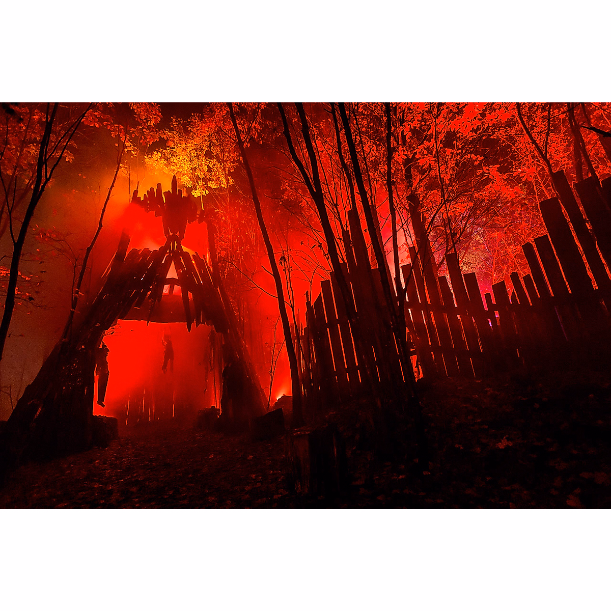 Froggy's Fog Halloween and Party Fog Fluid, High Output Long-Lasting Fog Juice for 400-1500 Watt Water-Based Fog Machines, Great for Pro & Home Haunters, Theatrical Effects, DJs, & More, Half Gallon