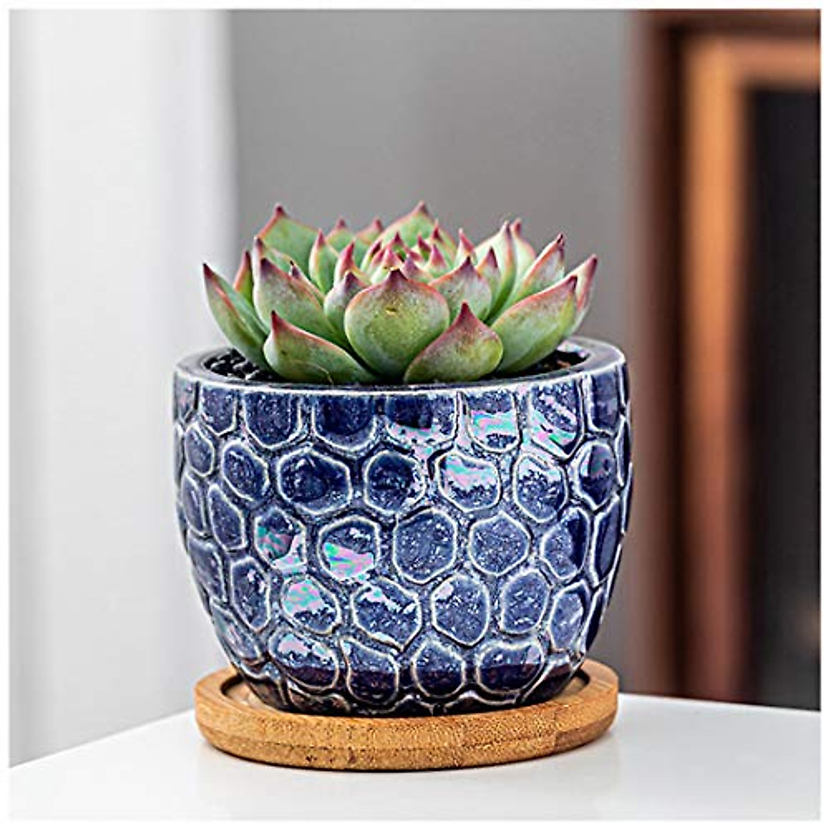 Segreto Succulent Plant Pots Marbling Pattern Flower Pots Ceramic Planter for Cactus Plants Container Bonsai Pots with Bamboo Tray and Drainage Hole for Home Decor,Set of 2