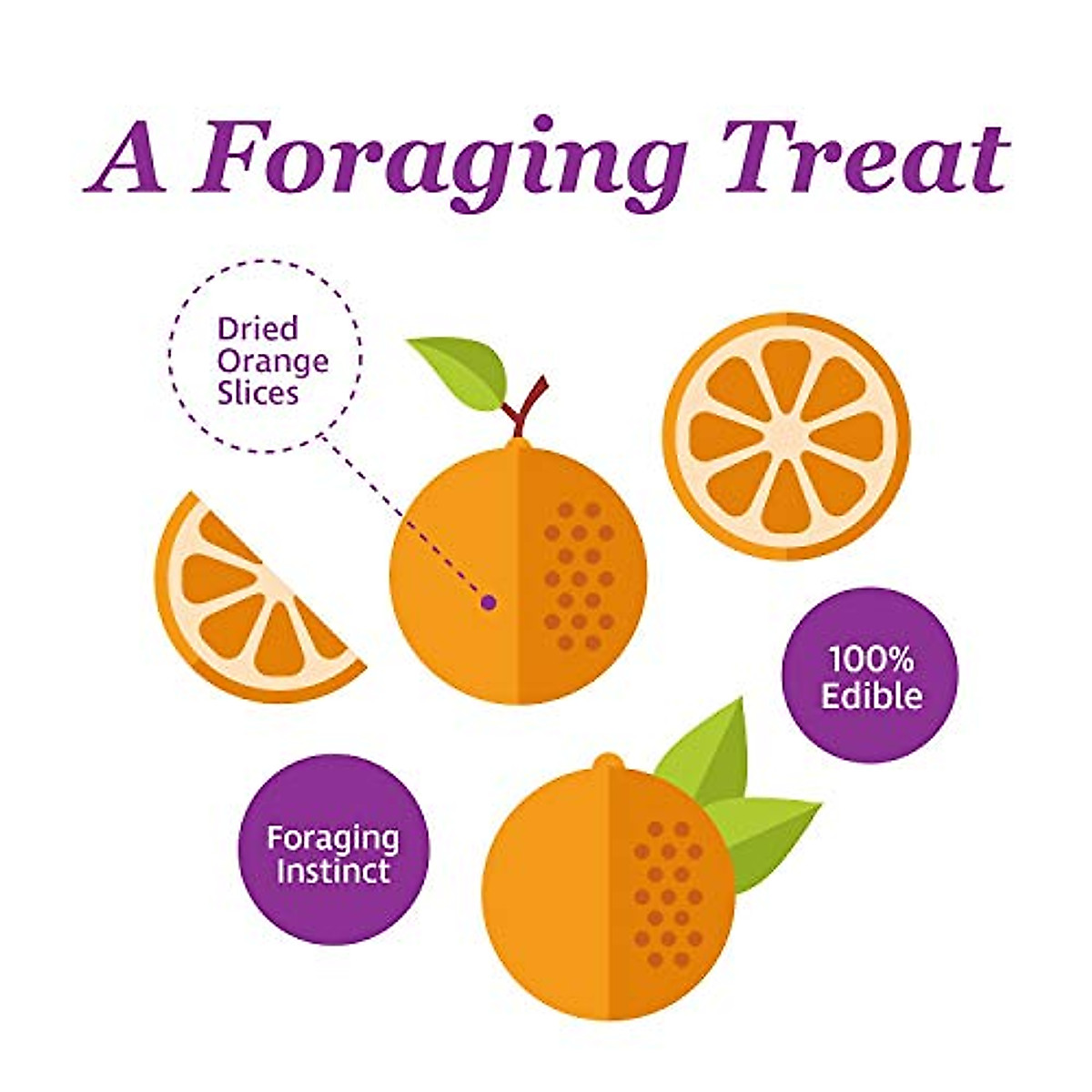 F.M. Brown's Tropical Carnival Natural Orange Slices Pet Bird Foraging Treat, 0.75-oz Bag - Sun-Ripened, USA Harvested, 100% Edible, Natural Vitamin C